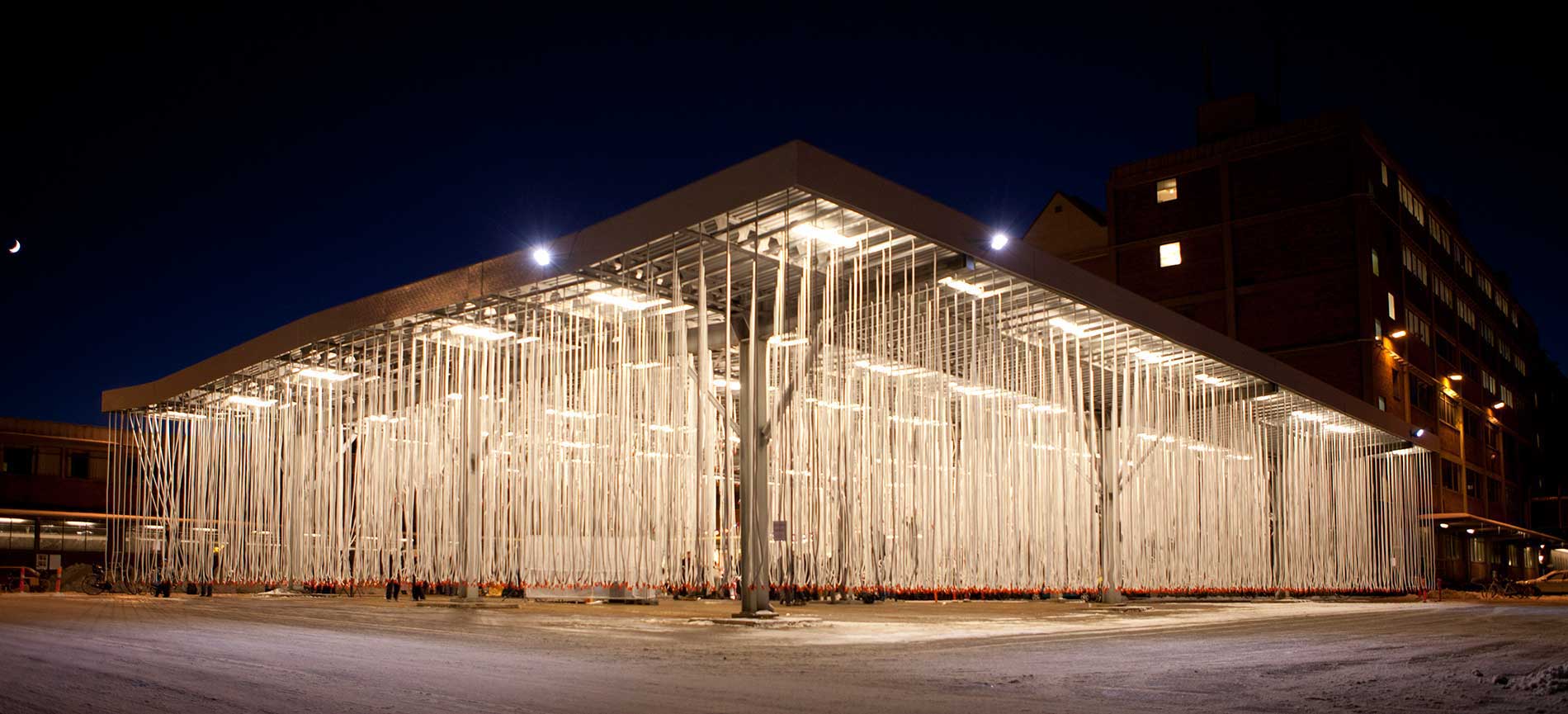 The rope forest - Keingart